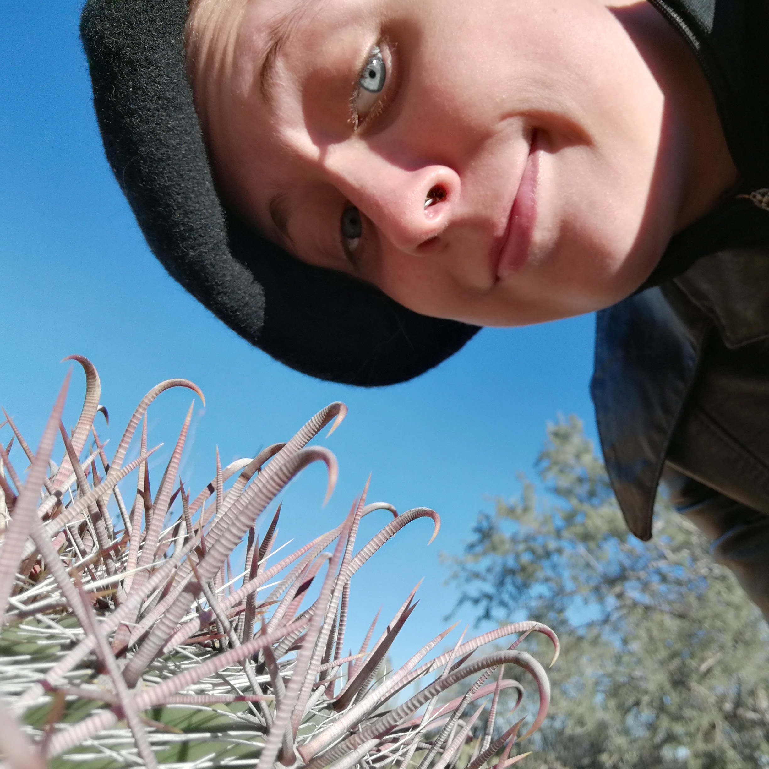 The Society for Ethnobotany